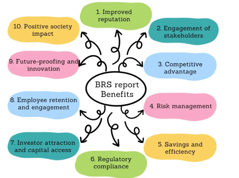 9 Principles of BRSR for Sustainable Business | A Deep Dive into India ...